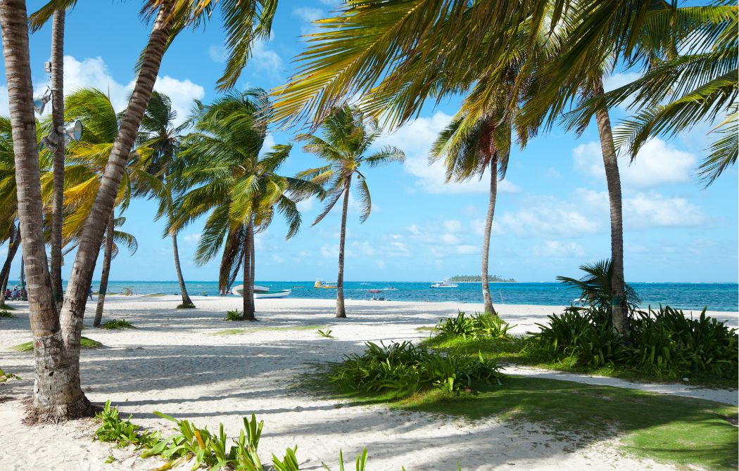 Cárcel para extesorero de la empresa de energía de la isla de San ...