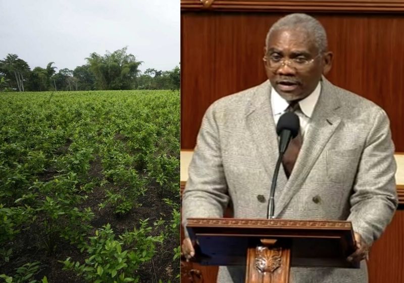 Congresista Gregory Meeks insta a Trump a mantener certificación ...