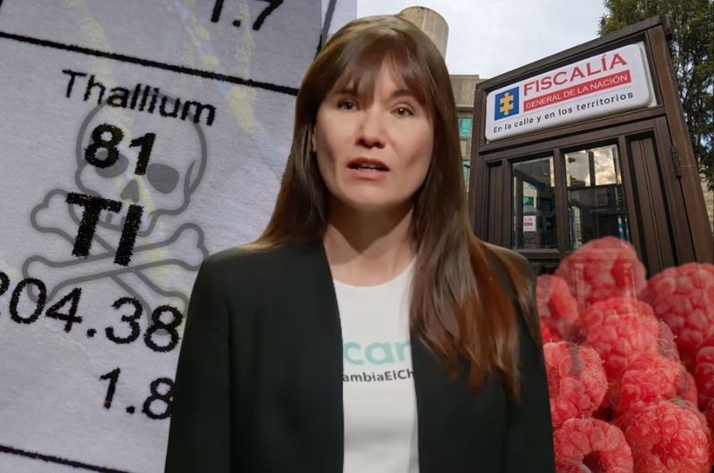 Entrevista | Zulma Guzmán habla en exclusiva desde el exterior sobre el ...